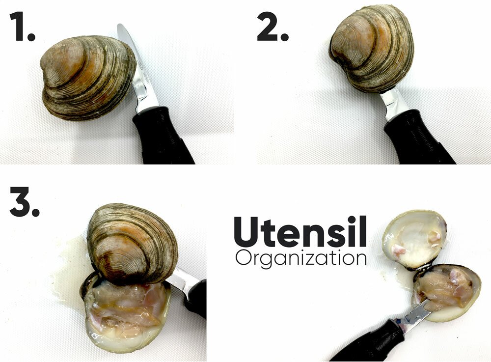 The Clam Knife | Kitchen Tools | Utensil.org
